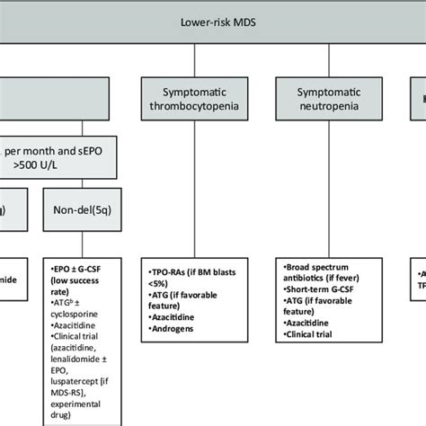 Current Treatment Options For Lower Risk Mds Bold Text Indicates Download Scientific Diagram