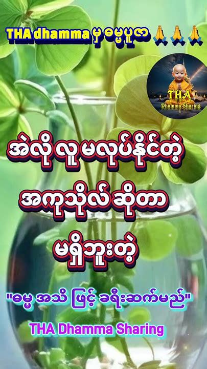 မုသာဝါဒ ရဲ့ နောက်ဝယ် 🙏🙏🙏 တရားတော်များ မနက်တိုင်းဖွင့် ညပိုင