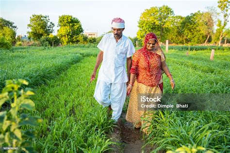 인도 농부 부부는 수확하기 전에 농작물을 검사하는 농업 녹지에서 함께 걷고 있다 마을 생활 텍스트를 쓰기 위해 공간을 복사합니다 농부에 대한 스톡 사진 및 기타 이미지