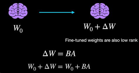 Lora Low Rank Adaptation Of Llms Paper Explained