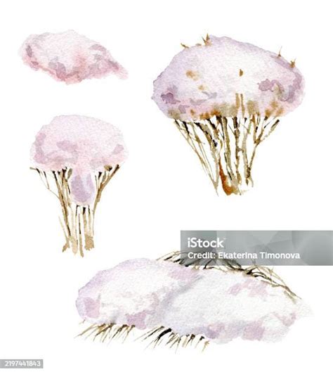 위에서 눈의 모자 아래 식물의 덤불 겨울 추운 식물 흰색 배경에 수채화로 손으로 그렸습니다 엽서의 디자인을 위해 추가 요소 가을에 대한 스톡 벡터 아트 및 기타 이미지