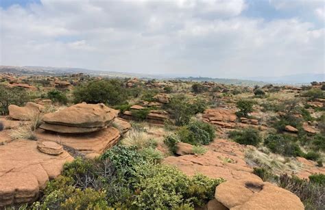 10 Best Trails And Hikes In Magaliesburg Alltrails