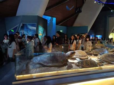 Үй Цай сургуулийн “Зуны зуслан” сургалт Ui Tsai Mn