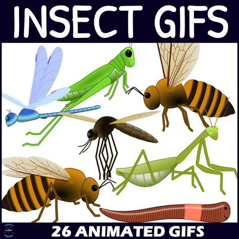 Insect S Clipart Animated Bugs Clip Art Set 2 Made By Teachers