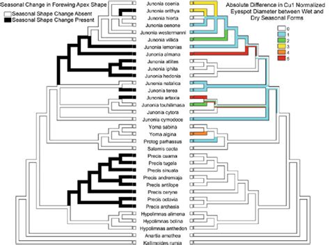 6 Mirrored Parsimony Character State Reconstructions For Seasonal