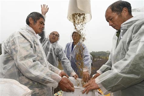 袁隆平团队第三代杂交水稻双季稻亩产超3000斤衡南县
