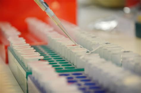 Extracting RNA Pxjpg ARC Training Centre For Future Crops Development