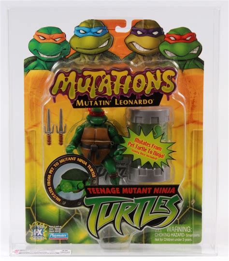 Tmnt Raphael 2003