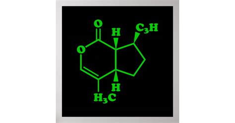 Catnip Nepetalactone Molecular Chemical Formula Poster Zazzle
