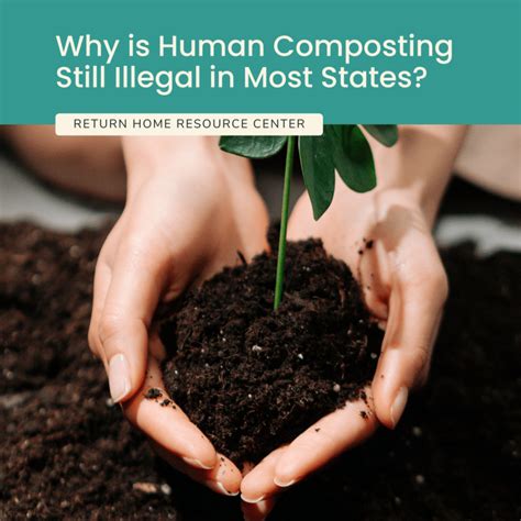 Why Is Human Composting Illegal In Most States Return Home