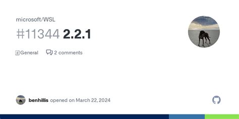 2 2 1 · microsoft wsl · discussion 11344 · github