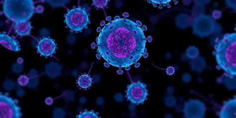 Introducing A New Tool To Enhance Cancer Subtype Classification For