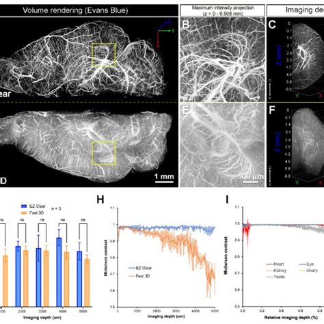 Quantitative Comparison Of Fluorescence Intensity And Contrast Between Download Scientific