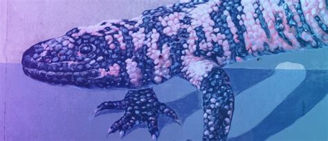 Log4j 2171 Fixes Another Code Execution Bug But Should You Worry