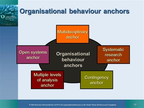 introduction to the field of organisational behaviour ppt video