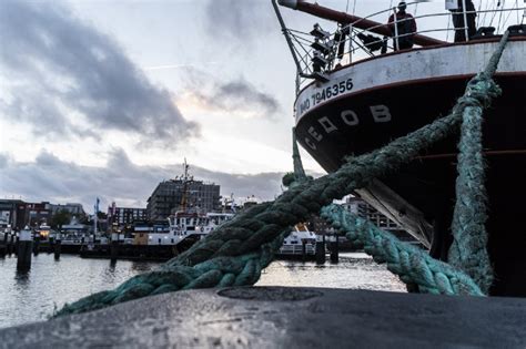 How To Use The Apply Call And Bind Methods In Javascript