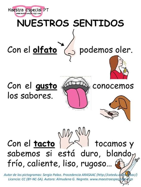 Pin De Lourdes Mata En Ciencias Actividades 5 Sentidos Los Cinco