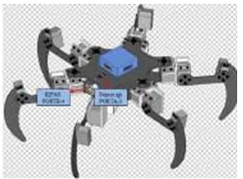 Seputar Robot Kumpulan Cara Membuat Robot Laba Laba