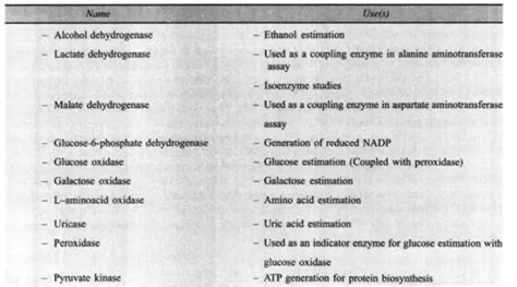 Enzymes Amylase Protease Lipase Production Biology Notes Online