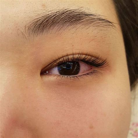 연말에는 역시 아래속눈썹을 하셔야 합니다 그래야 연장의 완성이죠😁👍 속눈썹연장 속눈썹수강 속눈썹연장수강 속눈썹창업 속눈썹연장창업 목동속눈썹 오목교속눈썹