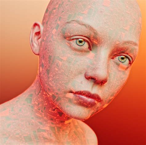 Beginners Guide To The Endocannabinoid System Secret Nature