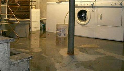 The Most Common Plumbing Overflow Issues You Might Notice