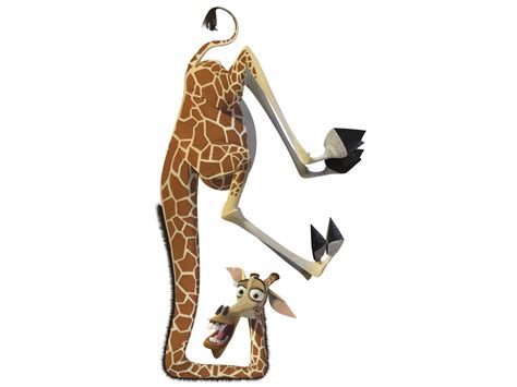 Madagascar Melman Quotes Quotesgram
