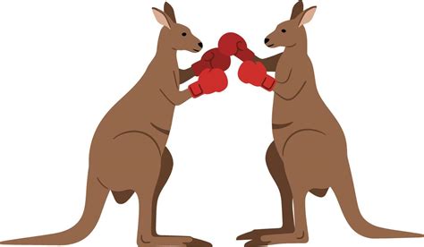 Two Kangaroos Engaging In A Playful Boxing Match Wearing Red Gloves In