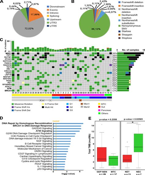 Mutational Landscape Of 44 Nens A Pie Chart Showing Proportions And Download Scientific