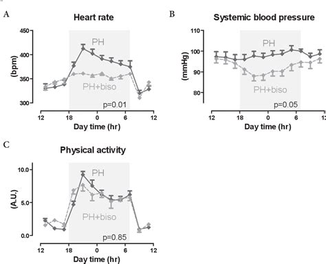 Figure 1 From Cardioselective Beta Blocker Therapy Improves Survival And Cardiac Function In