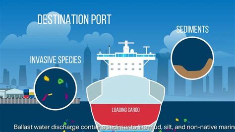 Ballast Water Treatment Animation Video