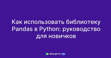 Как использовать библиотеку Pandas в Python руководство для новичков