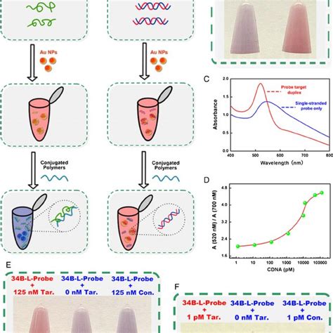 Pdf Colorimetric Detection Of Dna Small Molecules Proteins And Ions Using Unmodified Gold