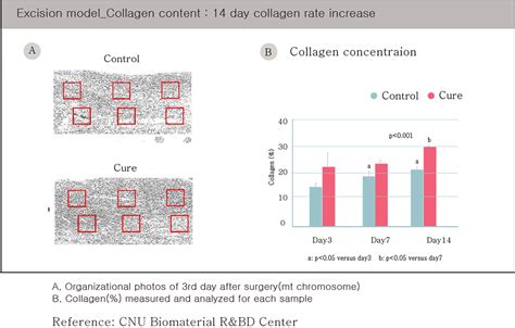 Trang chủ | Curatick.com.vn