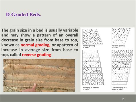 Sedimentary Structure Is The Feature In Sedimentary Rock To Distinguishe Body Op Sedimentary