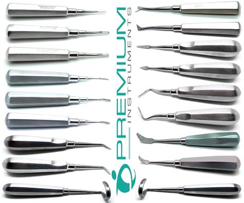 16 Pcs Dental Extraction Elevators Straight Curved India Ubuy