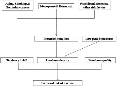 Osteoporosis Chart Ponasa