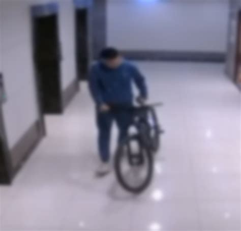 Цагдаагийн Унадаг дугуй хулгайлж худалдан борлуулдаг этгээдийг олж тогтоолоо 🔴Сүхбаатар