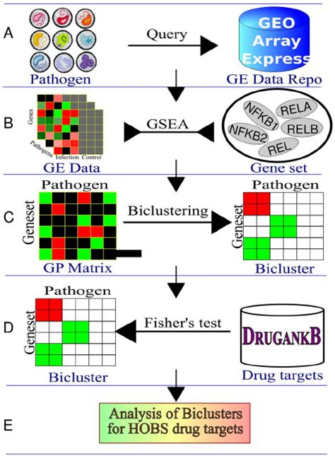 Overview Of Our System Overview Of Our Computational System To Compute Download Scientific
