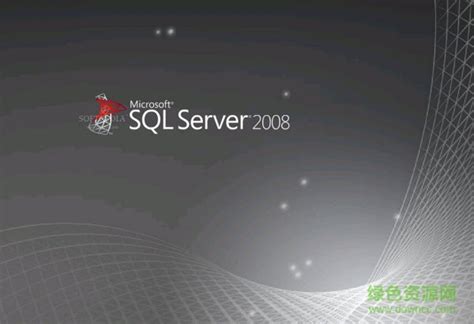 SQL 下载 SQL Server 中文版下载汉化免费版 for 位 位 绿色资源网