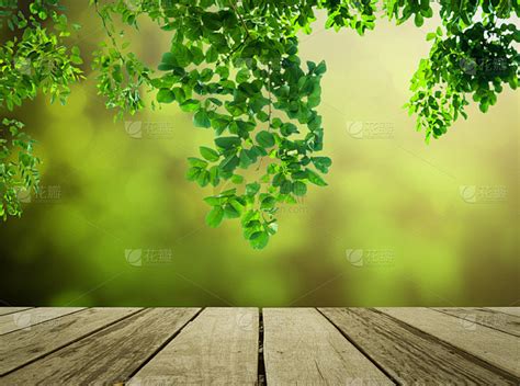 空的透视木材在模糊的树木与散景背景