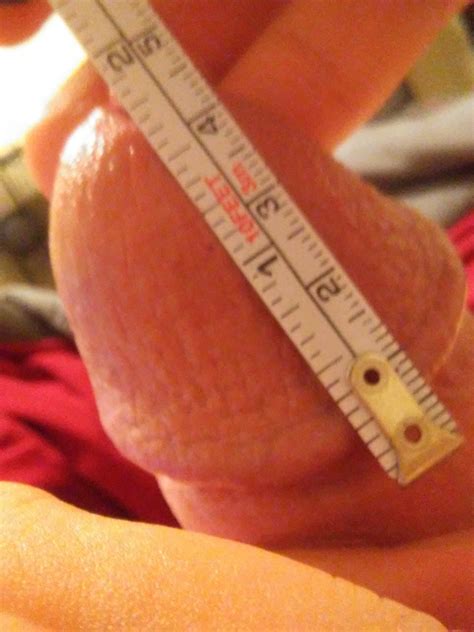 Cock Head Lpsg