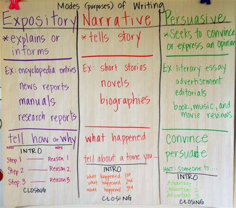 Esse For You Persuasive Expository