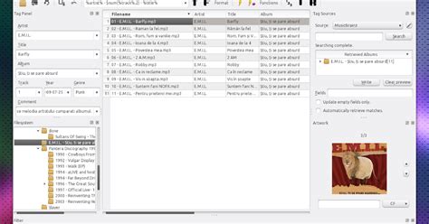 Puddletag Audio Tag Editor Gets An Ubuntu PPA Web Upd8 Ubuntu Linux Blog