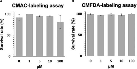 Figure 1 From Fluorescent Non Transgenic Schistosoma To Decipher Host Parasite Phenotype