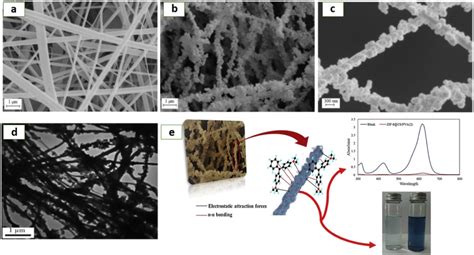 Sem Micrographs Of Engineered Composites A Cs Pva Enf And B And C Download Scientific