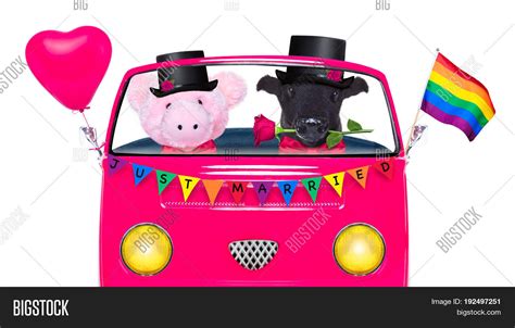 Gay Pride Couple Same Image And Photo Free Trial Bigstock