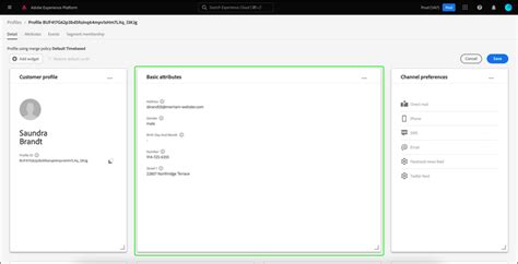 Profile Detail Customization In The Ui Adobe Experience Platform
