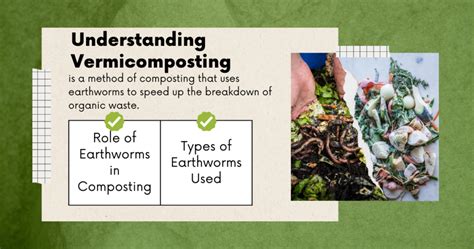 The Wonders Of Vermicomposting A Comprehensive Guide Guidebest Compost Techniques