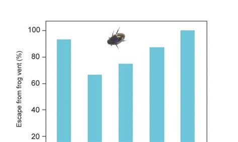 Insect Species Escaping Predators Via Digestive System